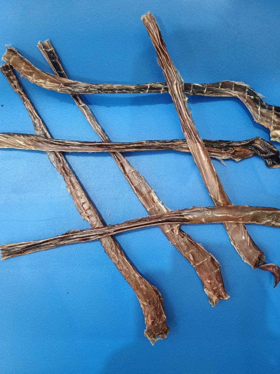 Goat Pizzle 50g pack – 3 Dogs & a Cat Pet Treats